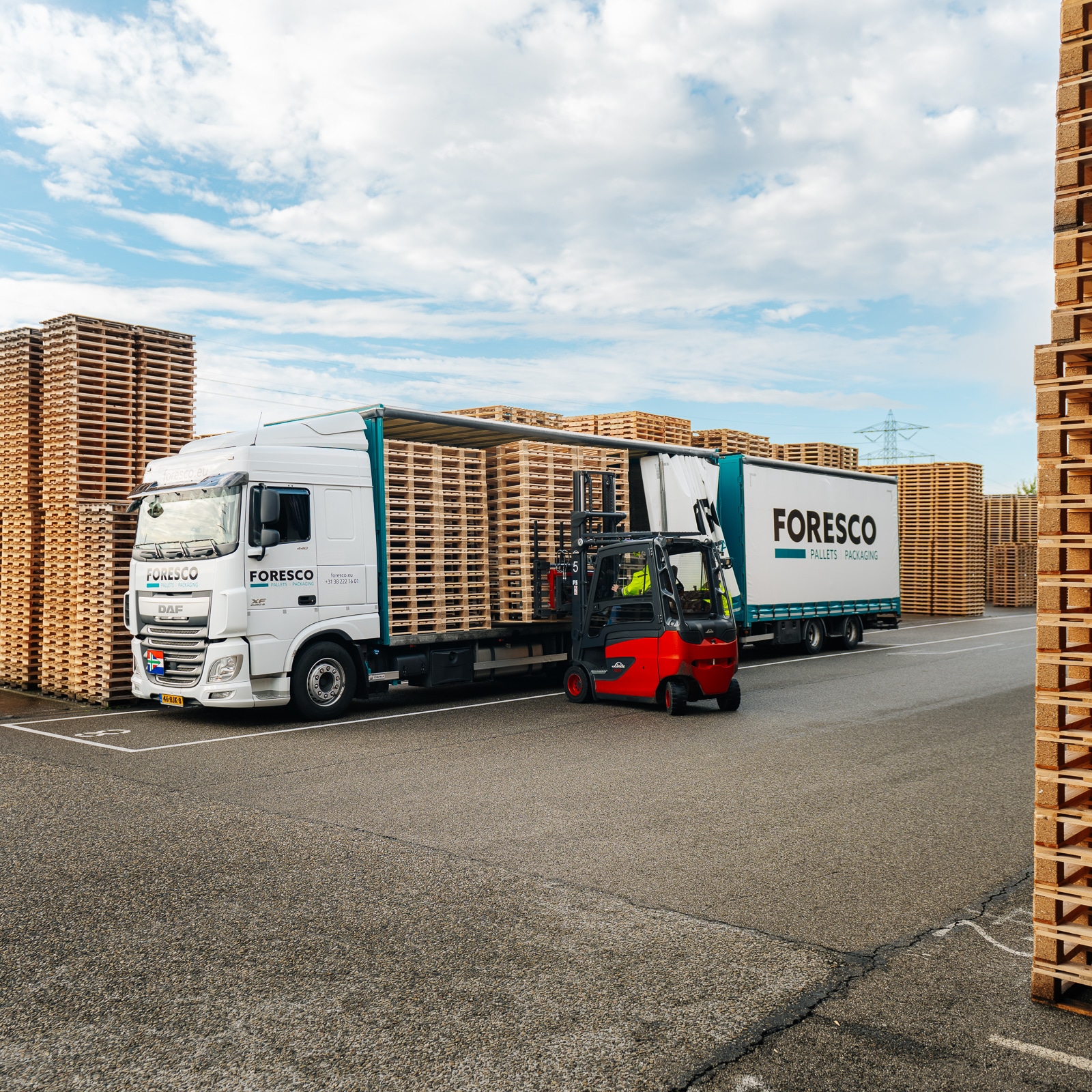 Pallets Kopen in Zwolle | Nieuw en Gebruikt | Foresco